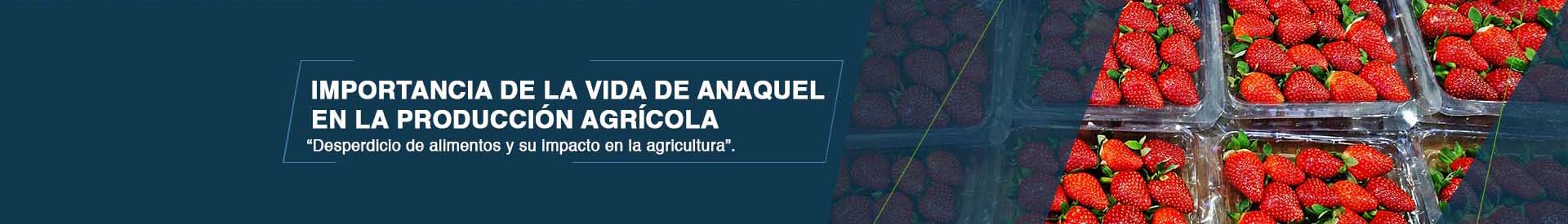 importancia-de-la-vida-de-anaquel-en-la-producción-agrícola