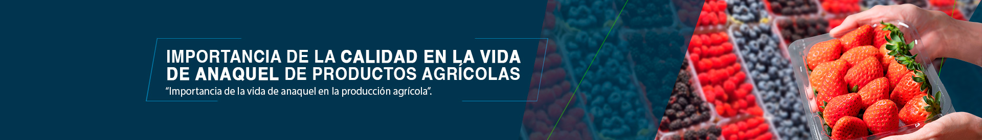 importancia-de-la-vida-de-anaquel-en-la-producción-agrícola